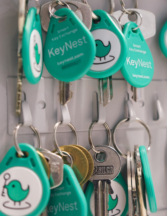 Mid-term rentals | KeyNest Australia