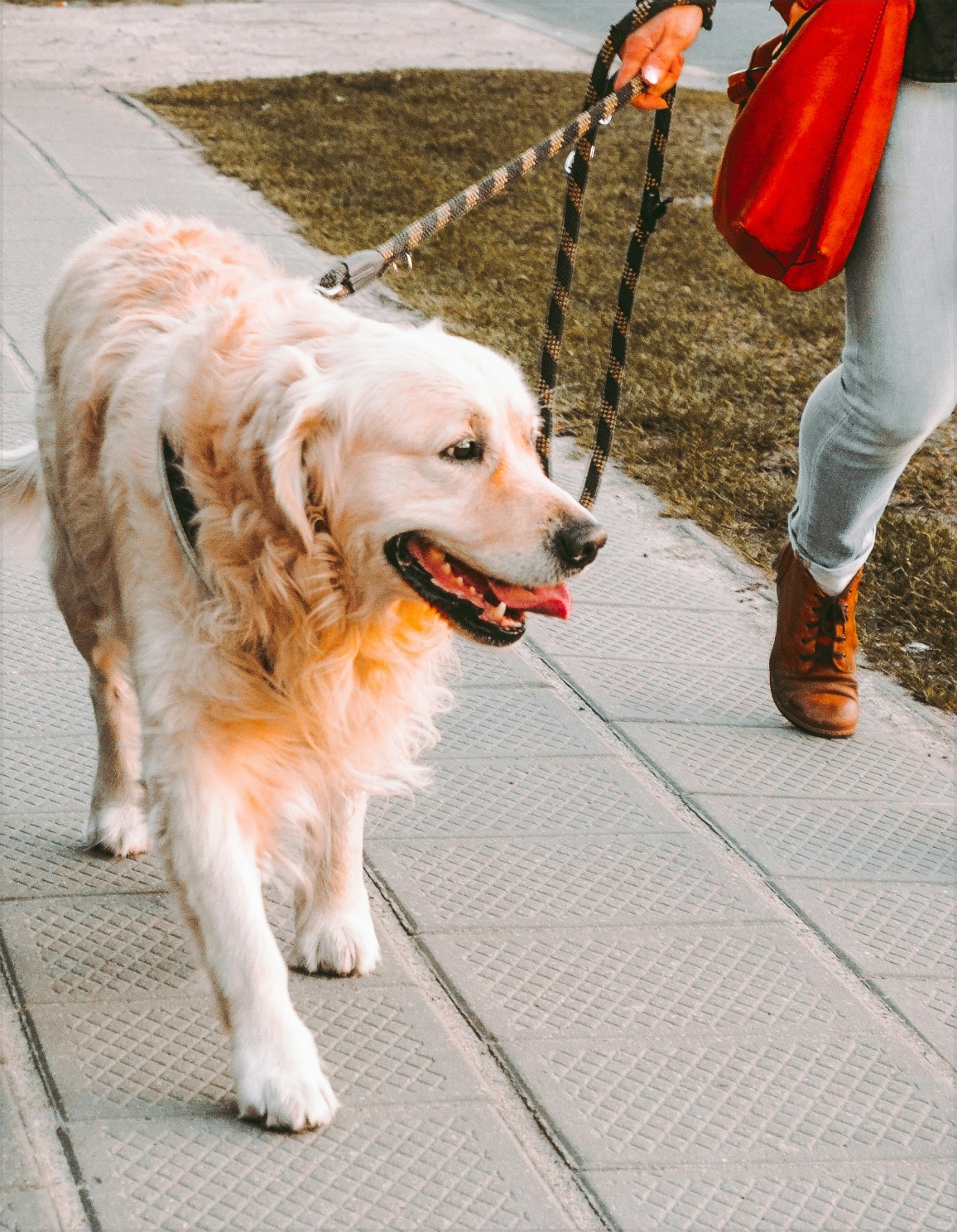 Personal use | KeyNest UK